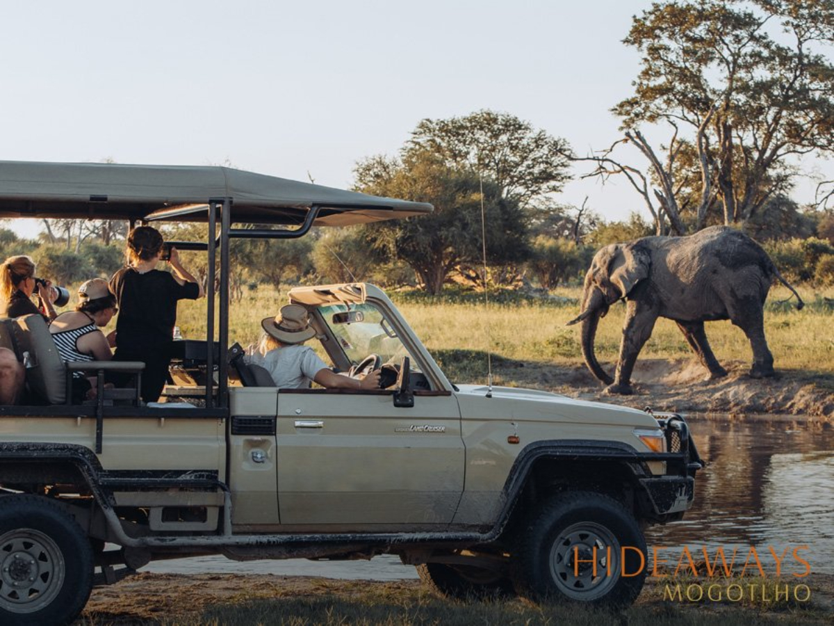 Botswana Safari Escape - 10days - Smiles Travel And Tour