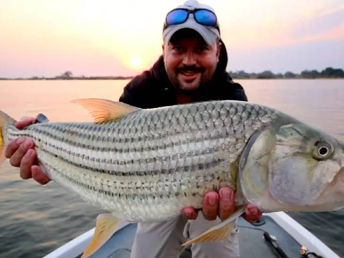 Tiger Fishing Experience, Shackletons Tiger Fishing Lodge, Upper ...